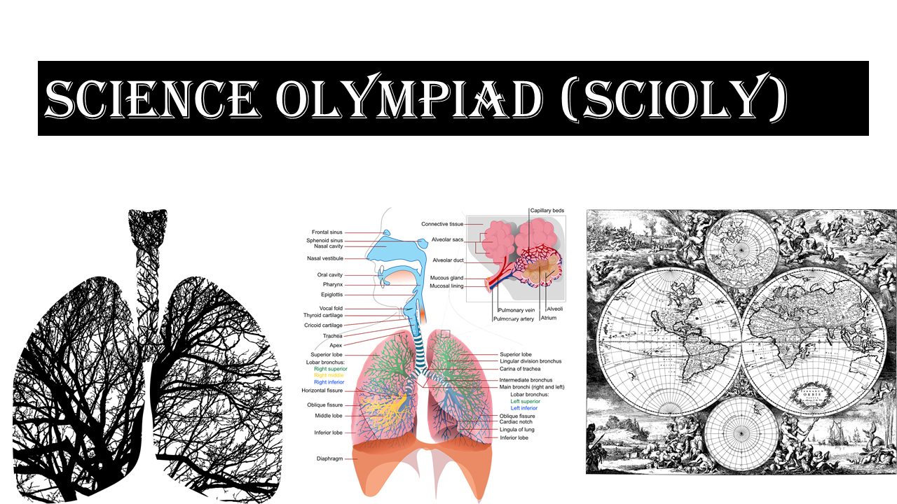 Science Olympiad (Scioly) | Bettermind Academy